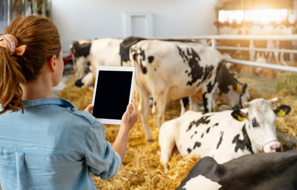 RFID para Ganado - Checkpoint Systems - Checkpoint Systems Latam