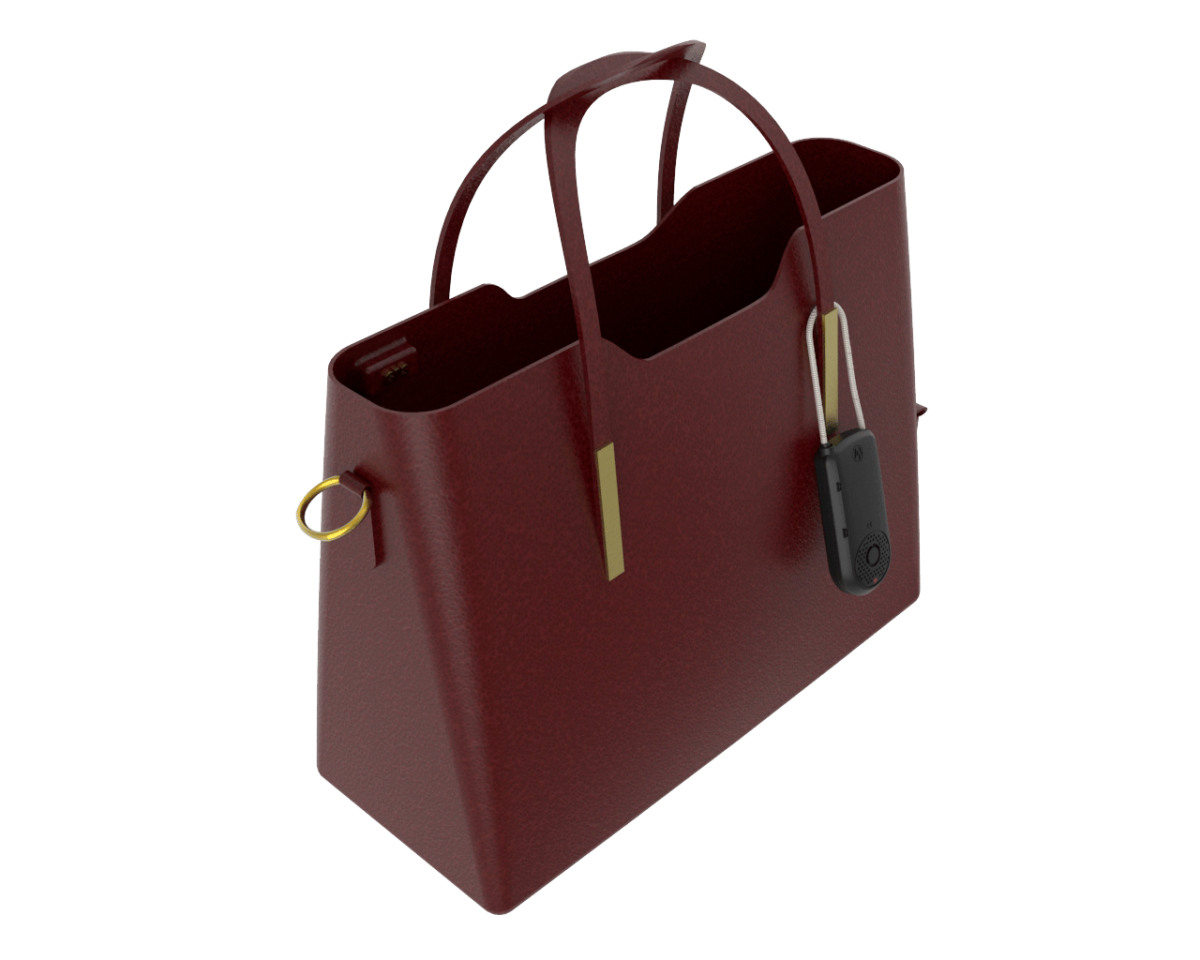 Alpha High Theft Solutions - Checkpoint Systems - RFID and RF ...